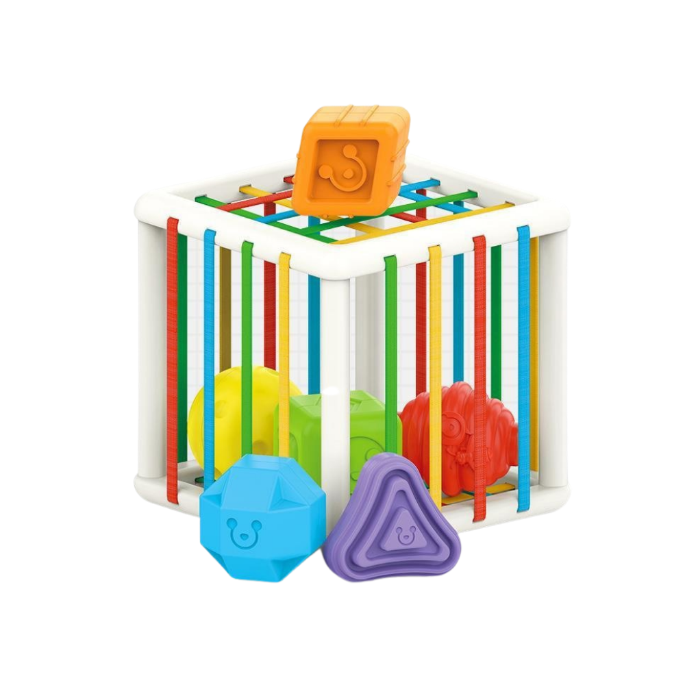 Sorting Cube™ - Sorteerkubus - Educatieve kubus – Mijn Hummeltje